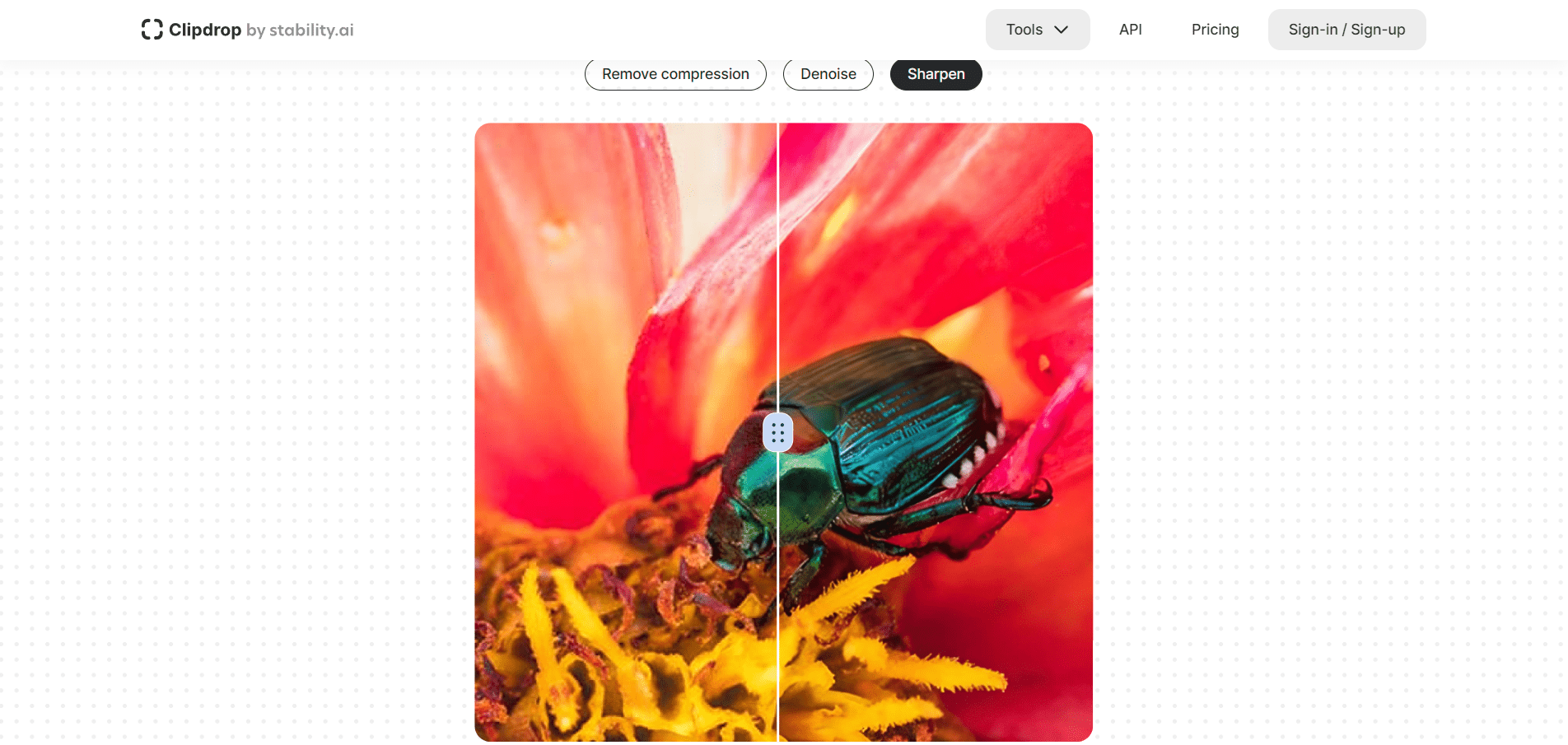 15 Best AI Image Upscalers: Enhance Image Details | PromeAI 15 Best AI Image Upscalers: Enhance Image Details | PromeAI